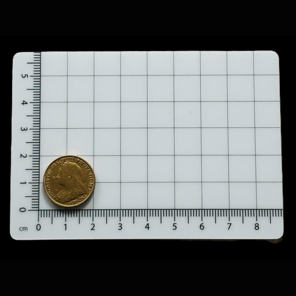 Coin and Small Artefact Photo Scale Card – Past Horizons